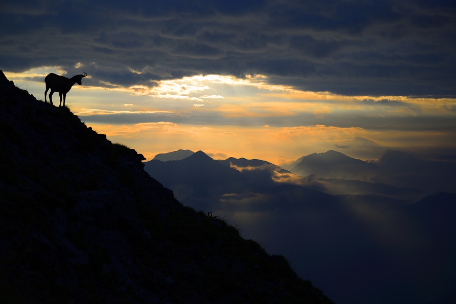 Lo spettacolo delle Grigne, la montagna a pochi passi dalla città