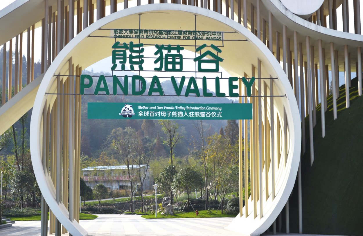 Dentro la Panda Valley, il centro per la reintroduzione in natura della ...