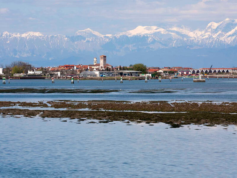Nature InPhoto, alla scoperta della laguna di Marano - La Rivista della ...