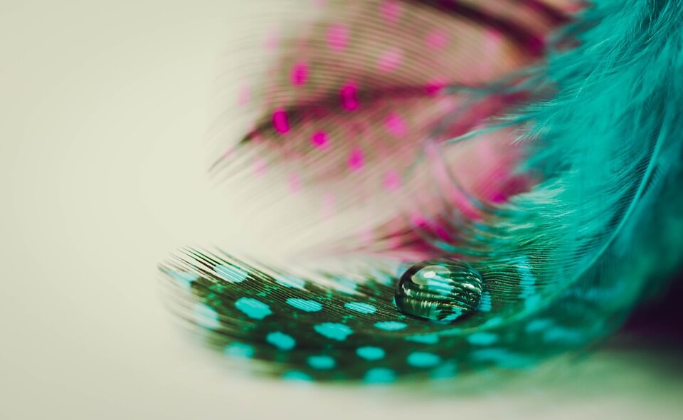 Un’estate all’insegna della leggerezza per lo stomaco e per l’ambiente ...