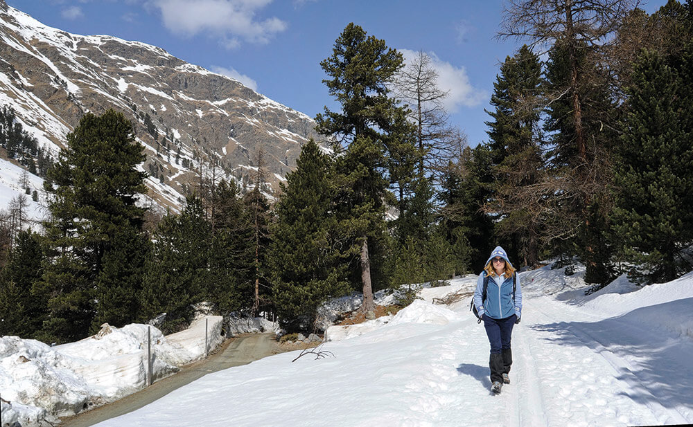Il sentiero delle cince