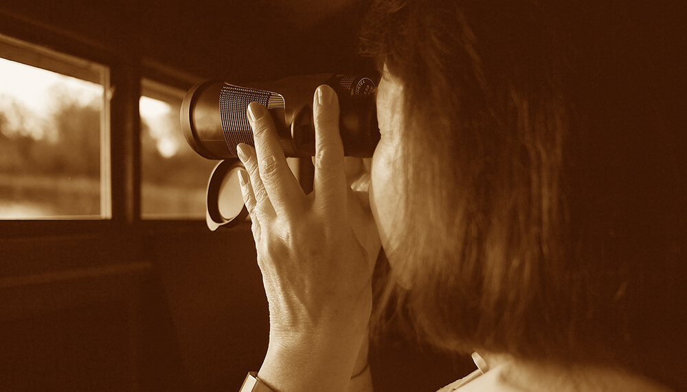 Amelia Rudolph Laskey, l'ornitologa dilettante che fece progredire la ...