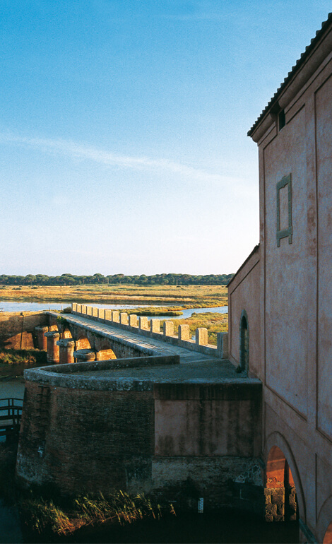 L'antico Lago Prile, oggi Riserva Naturale Diaccia Botrona