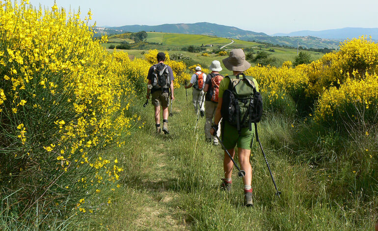 A piedi sulle tracce della transumanza lungo la Via del tratturo