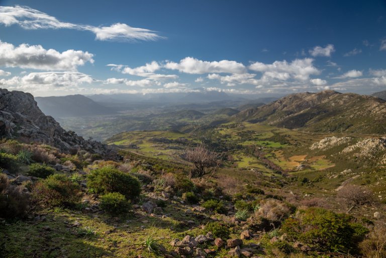 Monte Senes, nel cuore della Baronia