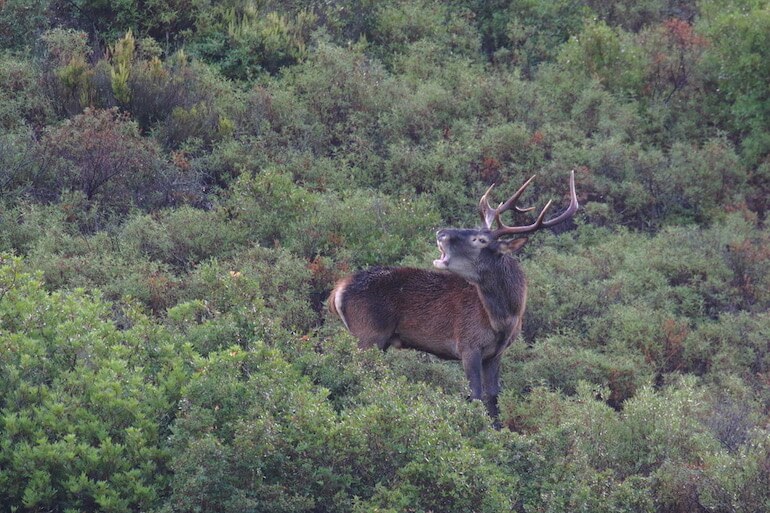 “Senza l'etica una fotografia vale zero”. Marco Corda