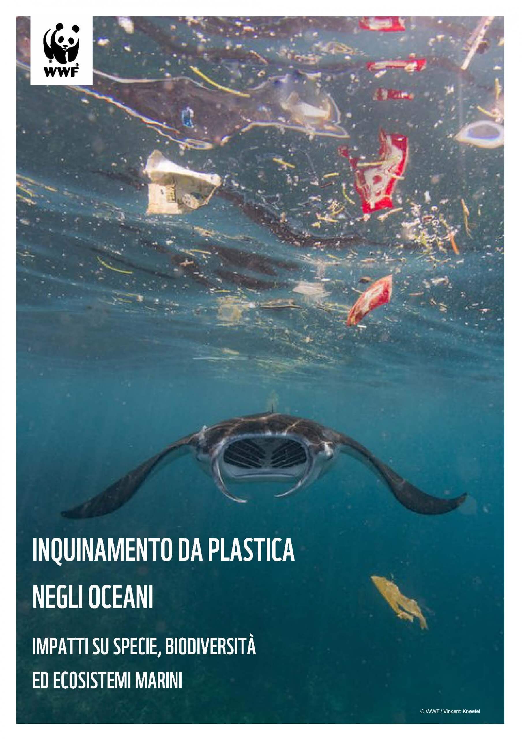Inquinamento da plastica nel Mediterraneo: superata la soglia massima