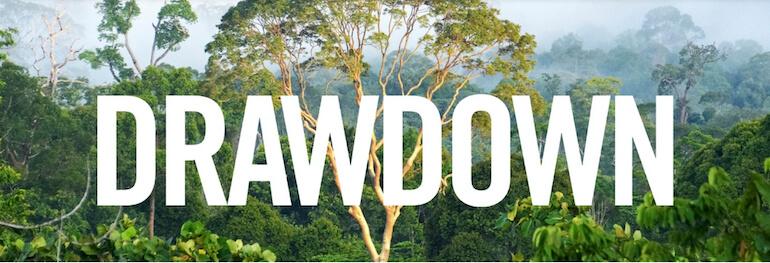 Drawdown Project per affrontare i cambiamenti climatici