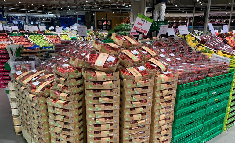 Il futuro di SiBon è sempre più BIO