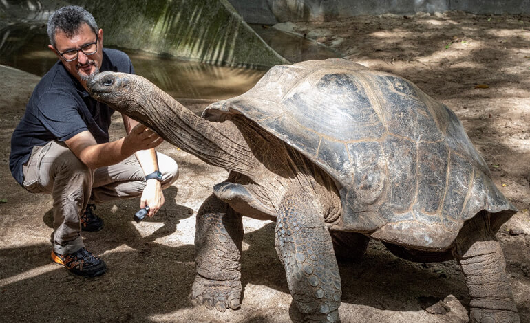 La testuggine gigante siciliana trovata in una grotta
