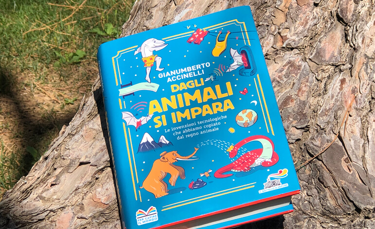 Dagli animali si impara