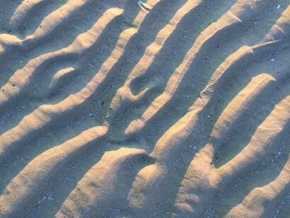 Una mappa dell'inquinamento marino e non solo