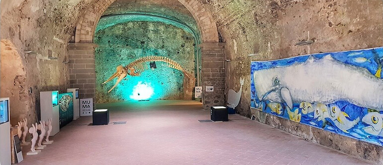 Chi ha più biodiversità in Italia? Milazzo