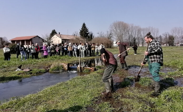 La manualità del badile in marcita