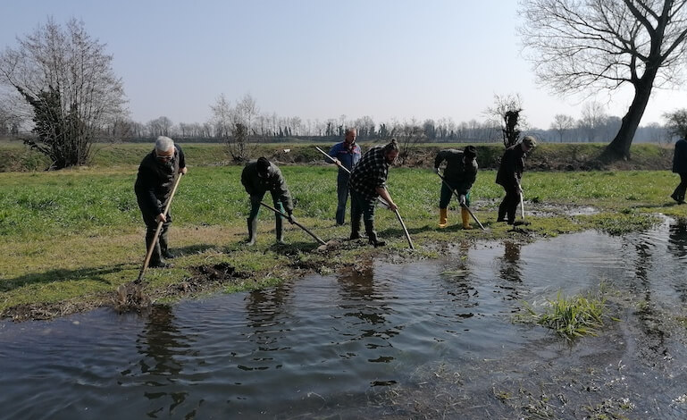 La manualità del badile in marcita