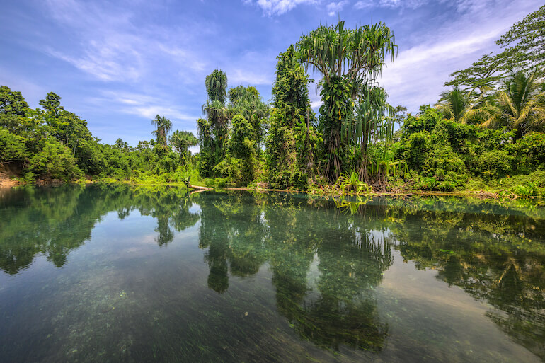 La prima storica foto dell'astore della Nuova Britannia
