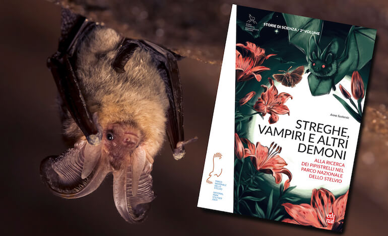 “Streghe, vampiri e altri demoni”, il misterioso mondo dei pipistrelli