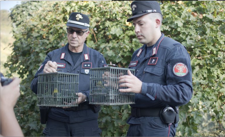 Operazione anti bracconaggio
