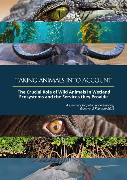 Noi e le nostre zone umide dipendiamo dagli animali selvatici