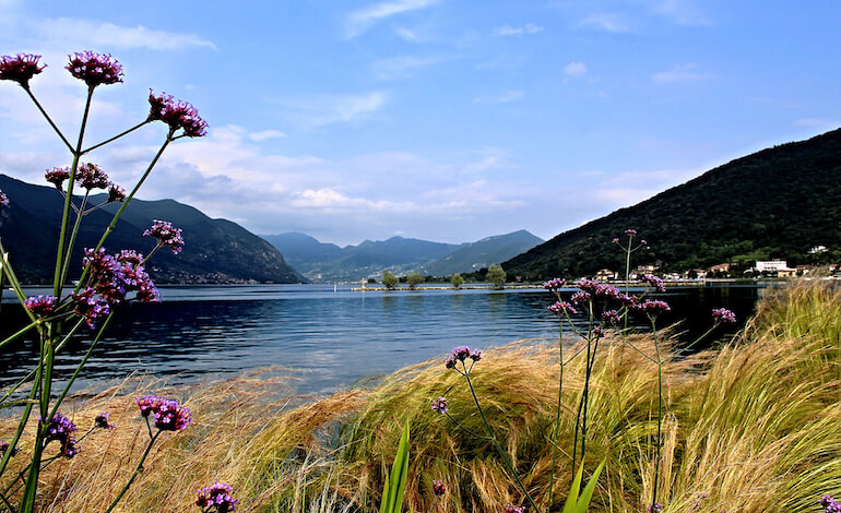 Natura sul lago di Iseo