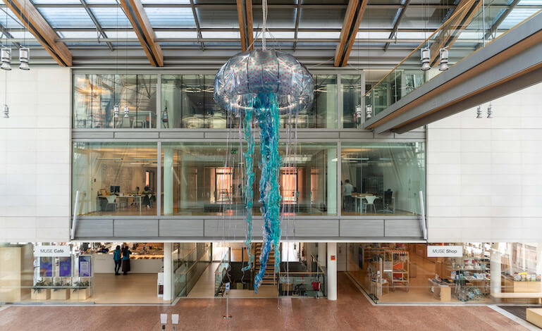 Medusa, la nuova installazione artistica al MUSE