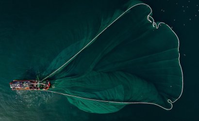 La pesca a strascico riduce la biodiversità del Mediterraneo