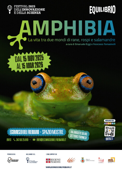 AMPHIBIA La vita tra acqua e terra