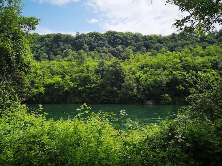 Parco Adda Nord e il Forest Association Contest
